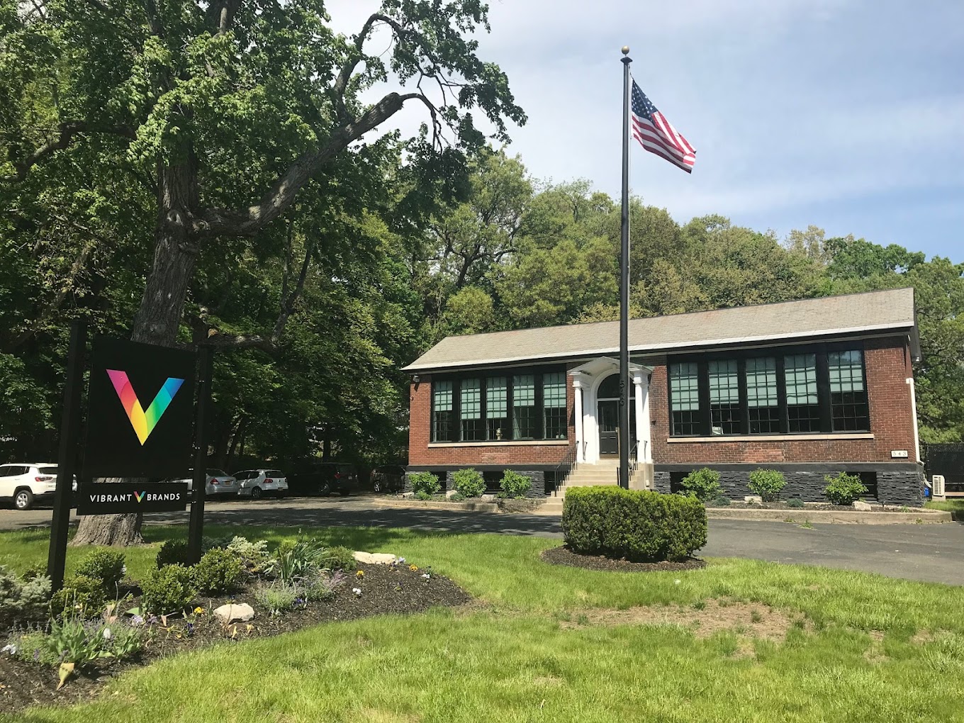 Vibrant Brands Reviews- Agency Directory